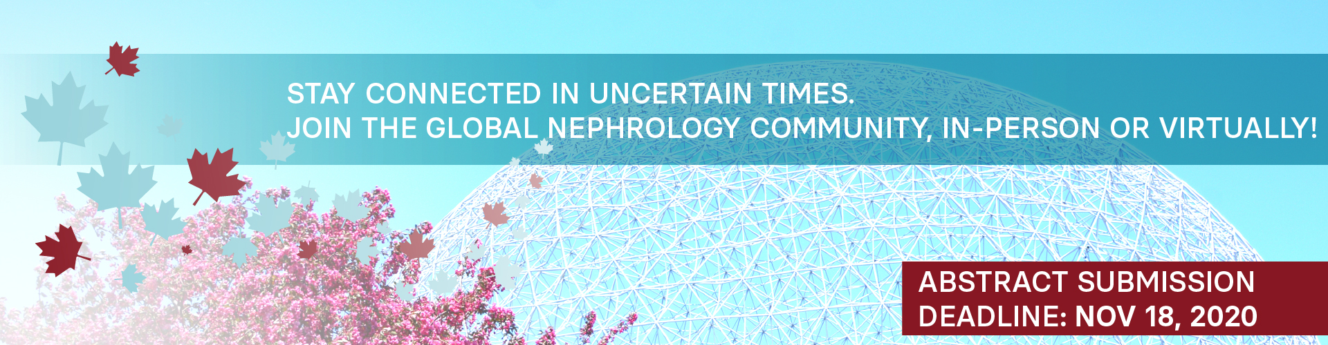 Home - World Congress of Nephrology