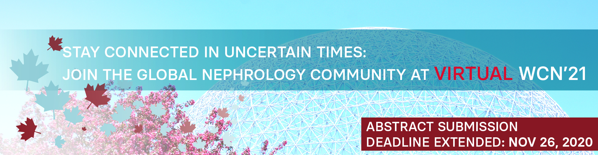 Home - World Congress of Nephrology