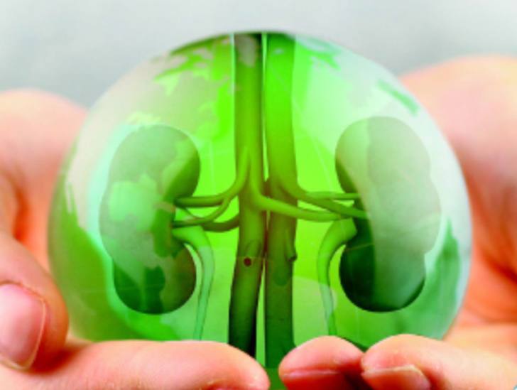 Apply to the ISN Emerging Leaders Program (ELP): Register for the ELP ...