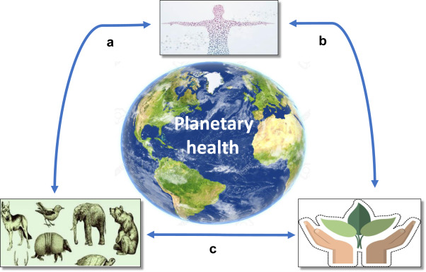 A Planetary Health Perspective for Kidney Disease - International ...