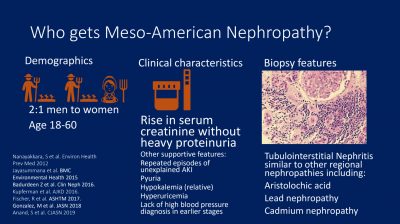 What is CKDu? - International Society of Nephrology