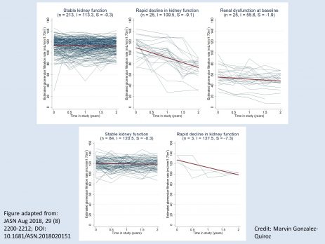 What is CKDu? - International Society of Nephrology
