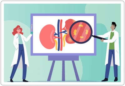 Discover the Newly Launched Complement-Mediated Kidney Diseases Toolkit ...