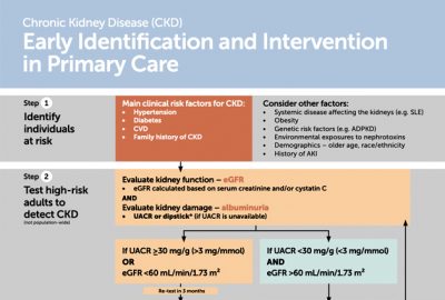 New! Quick Guide to Early CKD Identification and Intervention for ...