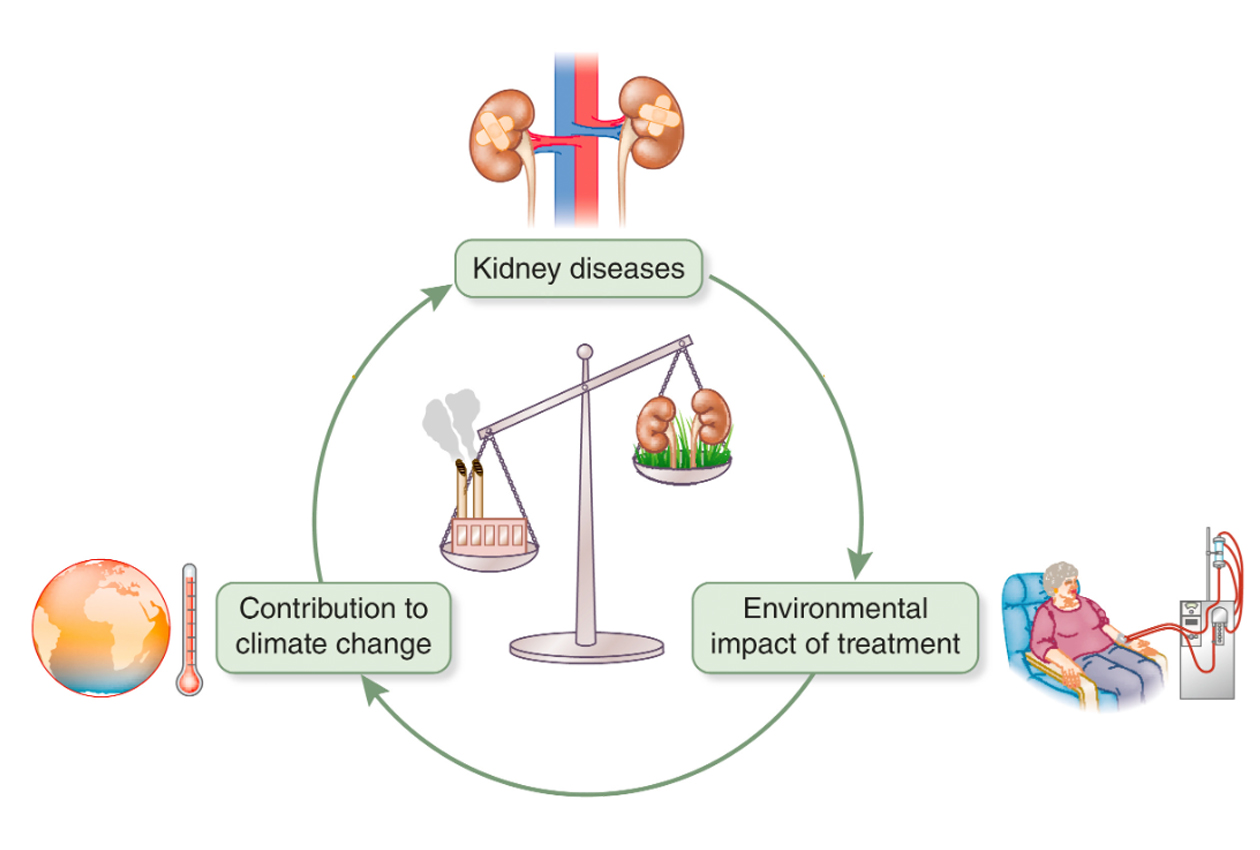 ISN Emerging Leaders Members and Kidney International® Collaborate to ...