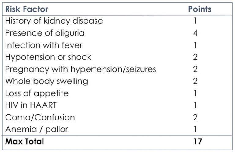 Acute Kidney Injury (AKI) TOOLKIT - International Society of Nephrology