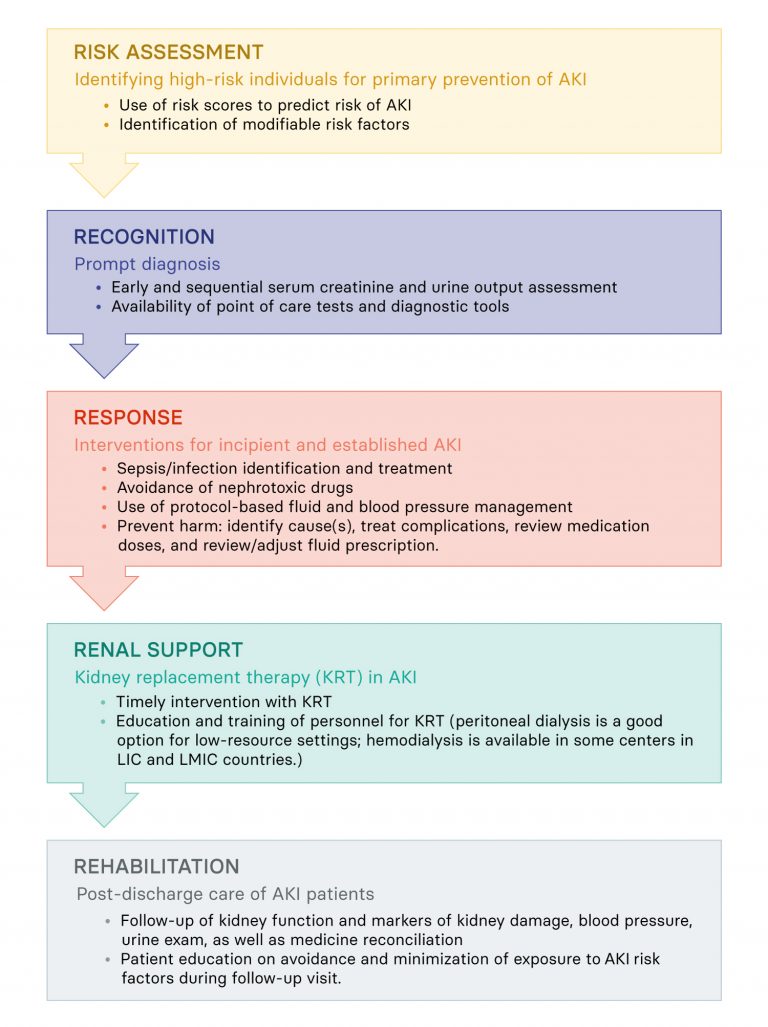 Acute Kidney Injury (AKI) TOOLKIT - International Society of Nephrology