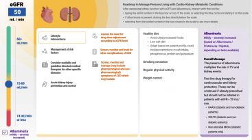 Cardio-Kidney-Metabolic Initiative - International Society of Nephrology