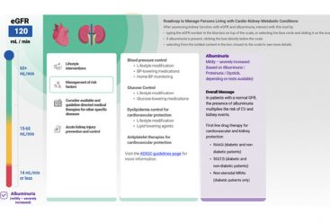 Explore the ISN’s New Cardio-Kidney-Metabolic Interactive Roadmap ...