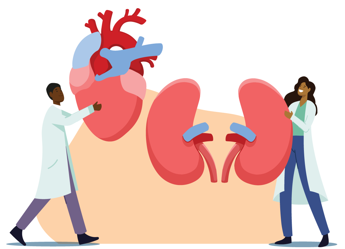 Cardio-Kidney-Metabolic Initiative - International Society of Nephrology